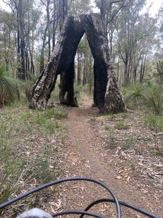 Great Cycle Challenge Australia - Riders - Alan Plummer